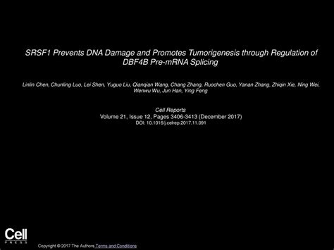 Volume 21 Issue 12 Pages December 2017 Ppt Download