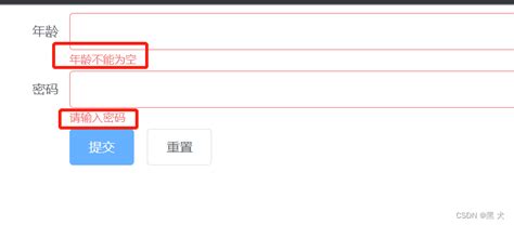 Element Ui Form表单自定义验证详解elementplus Form自定义检验 Csdn博客