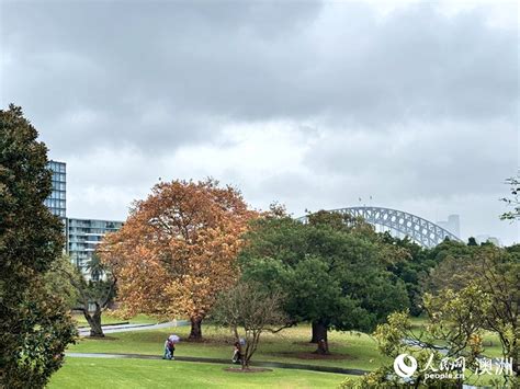 组图：走进澳大利亚悉尼皇家植物园 赏南半球秋景【2】 澳新频道 人民网