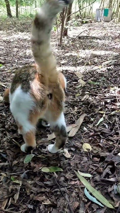 12살 엄마와 7살 딸이 이대로 오래오래 건강하고 행복하게 살기를 Youtube