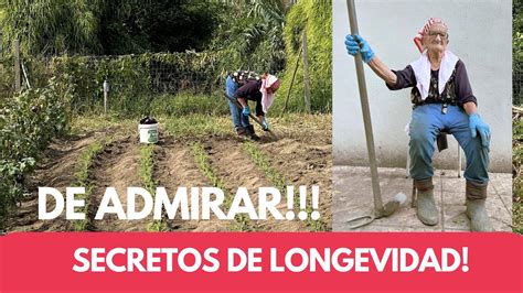 Secretos De Longevidad En Italia Youtube