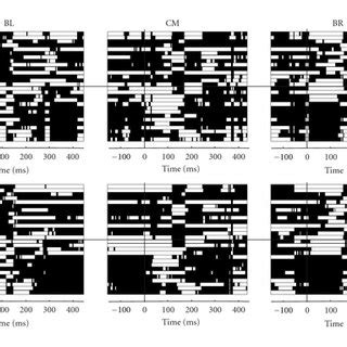 Global Clustering Patterns In The Lower Left Left Column Centre Download Scientific Diagram