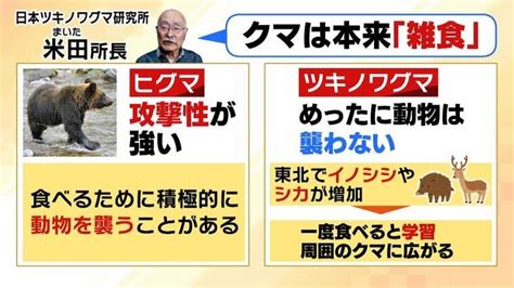クマの生態と安全対策 Genspark