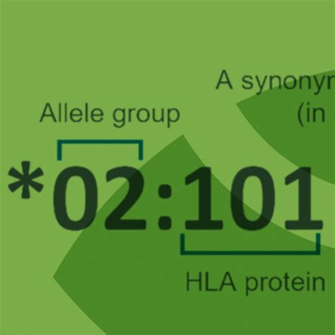 Hla Typing Learn More From Organabio A Cdmo In Miami Fl