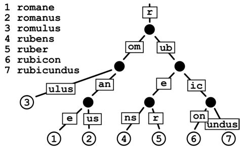 Radix Tree Wikipedia