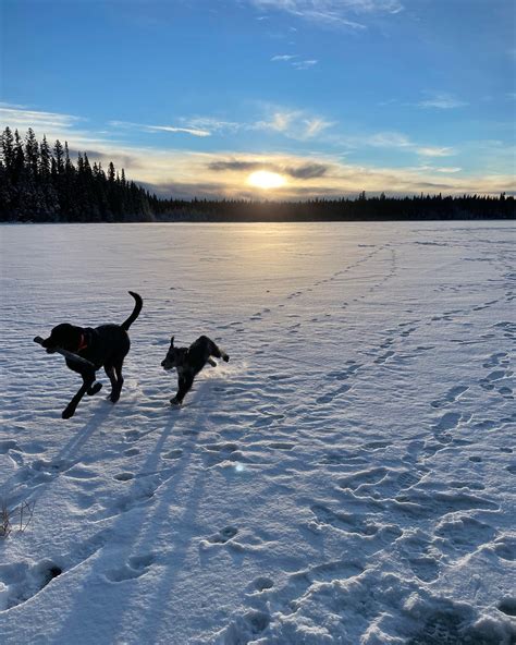 Caleb Mcrae Mcrae6969 • Instagram Photos And Videos