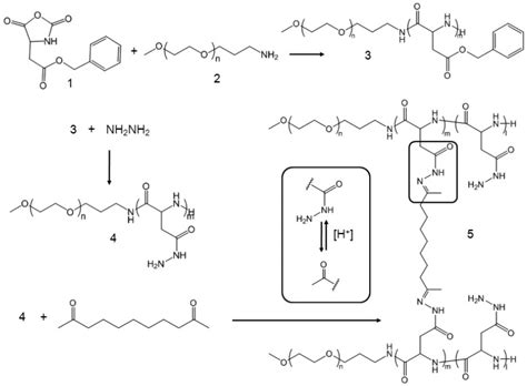 Synthesis Of Block Copolymers And CNAs Download Scientific Diagram