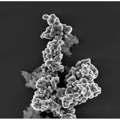 Example Of The Sem Image Of A Mixture Of Tio2 And Sio2 Particles