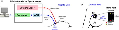 Instrument And Probe Placement A Diagram Of Diffuse Correlation