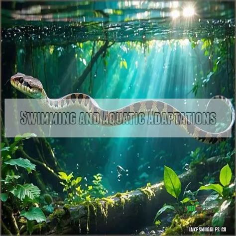 Boa Constrictor Habitat Requirements Expert Guide To Natural And Captive Care