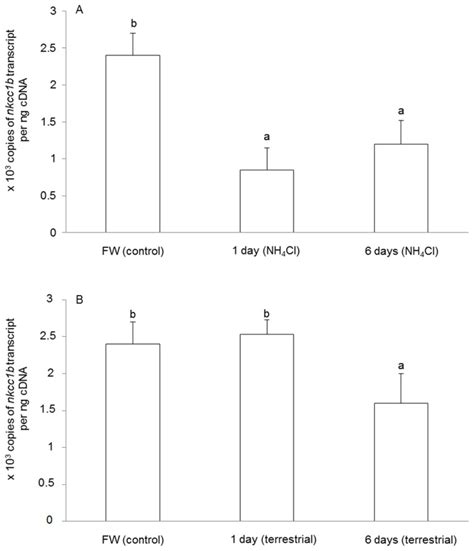 Absolute Quantification ×103 Copies Of Transcript Per Ng Of Cdna Of