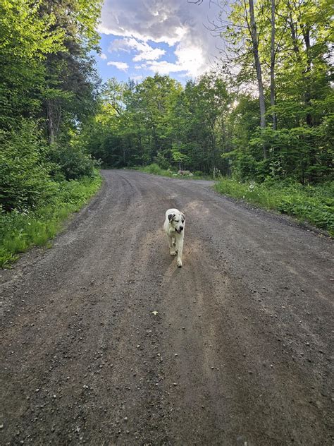 Moass Coming 💎 🤲 Ramczone