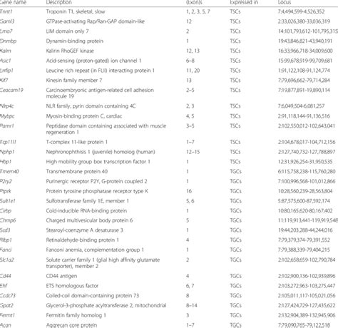 Genes With Differentially Expressed Exons In Tscs 15 Genes Or Tgcs