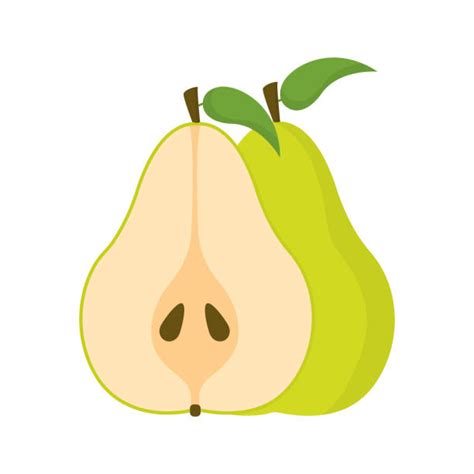 Nashi 스톡 사진 및 일러스트 Istock