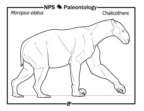 Paleontologist Coloring Page