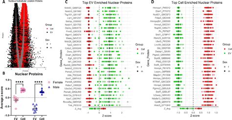 nucleus subcellular located proteins in evs and cells 4a volcano plot