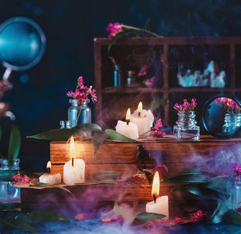 Dina Belenko On Instagram Follow So Super Awesome