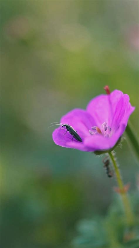 Bokeh Full No Sensor Videos Download The Best Free 4k Stock Video Footage And Bokeh Full No