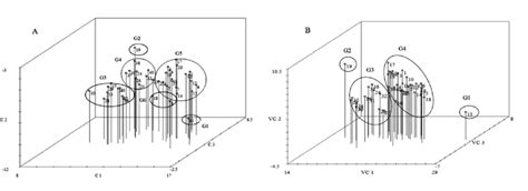 Graph Dispersion Obtained By Means Of The Principal Components