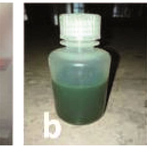 Uv Vis Spectra Of Silver Nanoplates Synthesized Using Colocasia