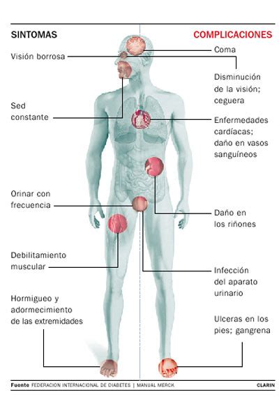 Equipo Medico Nutricional Dra Ana Adames And Dra Esther Arrúe Todo Lo