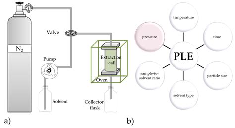 Flavonoid Extraction Solvent At Layla Weedon Blog