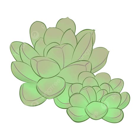 多肉ブドウ植物の緑と新鮮な装飾素材イラスト画像とpsdフリー素材透過の無料ダウンロード Pngtree