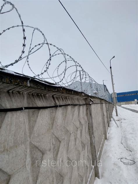 Колючая проволока Егоза Казачка 900/3 (ID#1833905173), цена: 4620 ...