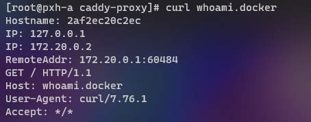 Running Caddy Docker Proxy On Host Networking Issue 432