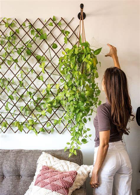 Plant Wall Decoration Ideas At Alberta Holmes Blog