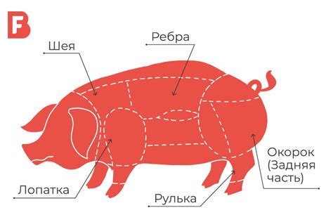 Как выбрать мясо свинина Baron — фирменный интернет магазин