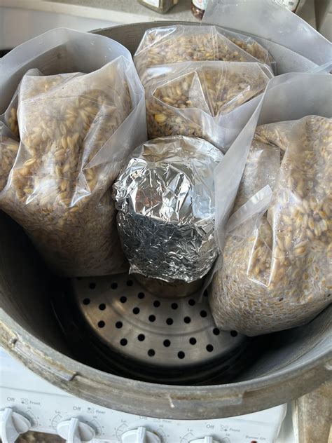 Reviews On Whole Oat Grain Spawn Rmycology