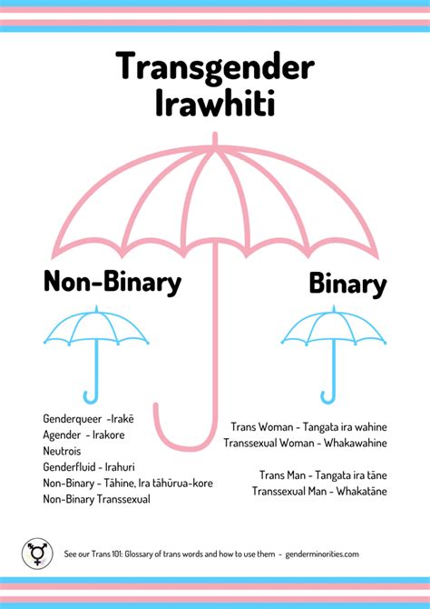 The Transgender Umbrella Gender Minorities Aotearoa Transgender New