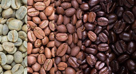 Roast Levels Whole Body Coffee