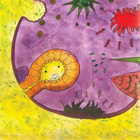 Dsource Story 9 Viewpoints Examples Dsource Digital Online