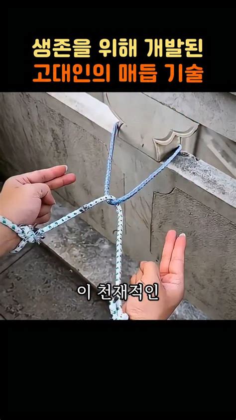 정리 컨설턴트의 옷방 공간 절약하는 꿀팁 정보 꿀팁 생활꿀팁 지식 재미쏙 Facebook