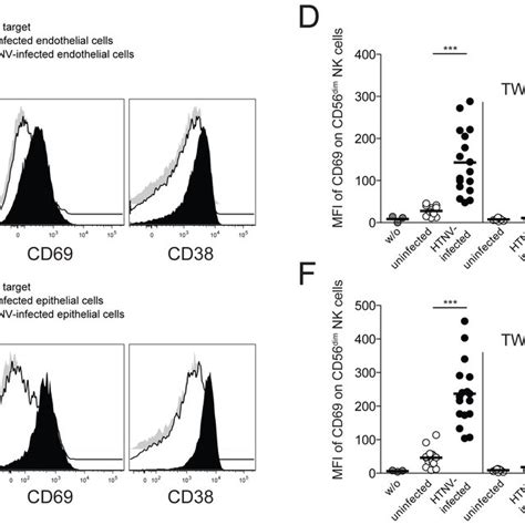 Cd56dim Nk Cells Acquire Increased Functional Capacity After Contact Download Scientific