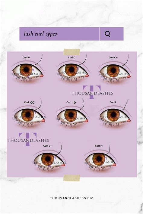 Lash Curl Types Types Of Curls Lashes Lash Extension Supplies