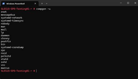 How To Elevate A Linux User Account With Sudo Rights