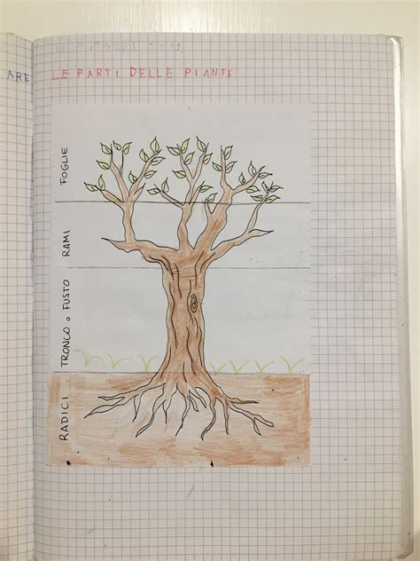 Quaderno Di Scienze Classe 2 Maestra Giulia Montanari