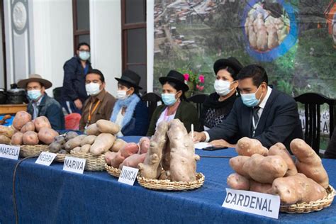Incahuasi Lanza La 2 Feria Departamental De La Papa