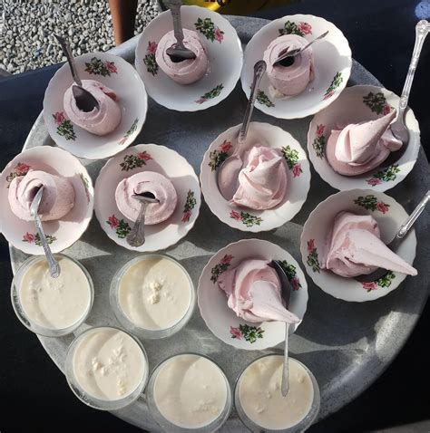 یاران شیریخ پلورنځی