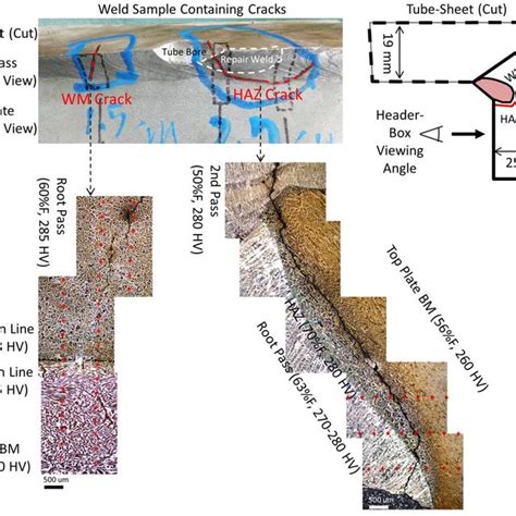Ferrite Fraction Quantification By Point Count Method Described In Astm