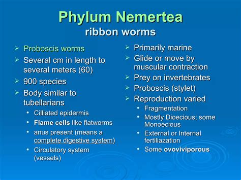 Flatworms Ppt