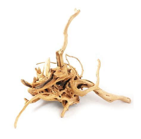 Aquarium Wood Azalea Root 20 50cm