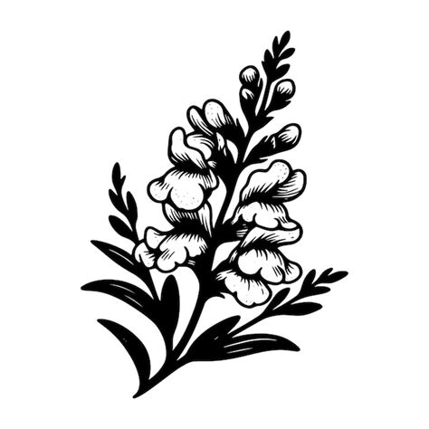 Snapdragon Flower Svg Vectors And Illustrations For Free Download Snapdragon Flower Svg Vectors And Illustrations For Free Download