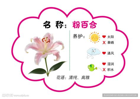 粉百合设计图图片素材其他设计图库昵图网