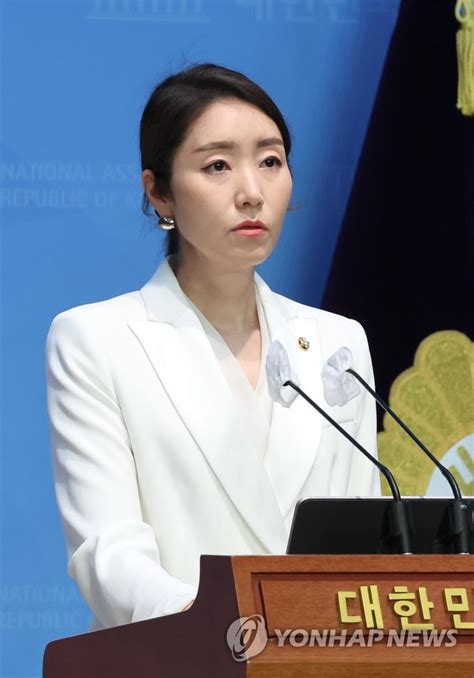 민주당 강선우 대변인 브리핑