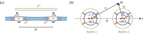 Colour Online A Schematic Representation Sectional View Of The Download Scientific