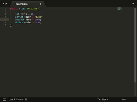 Nostra Technology Sublime Text